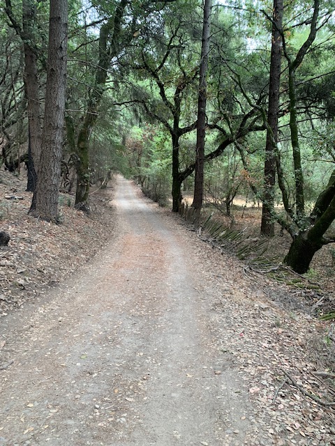 The Trail – mamaninjawarrior